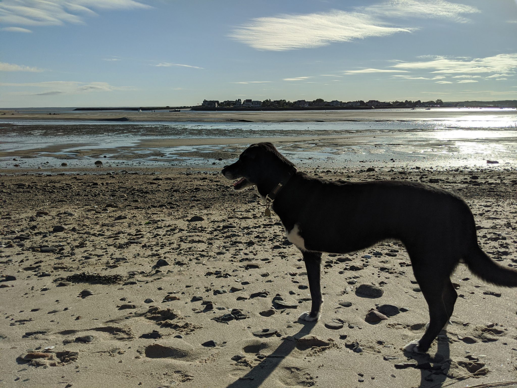 2 Months! – Devo